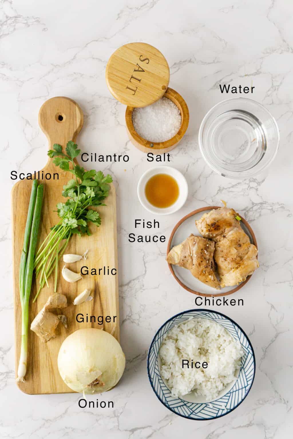 Chao Ga (Vietnamese Rice Porridge) Recipe - Fitsian Food Life